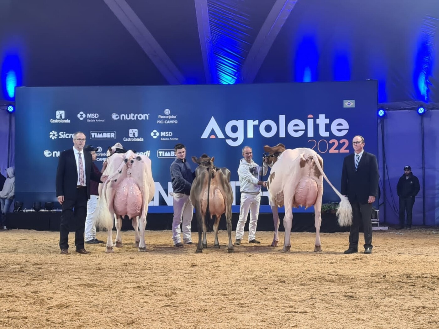 Qualidade dos animais impressionam juízes oficiais do Agroleite 2022 ...
