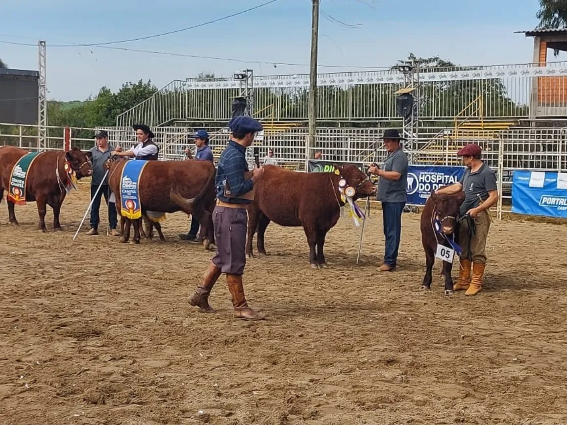 Raça Devon participa da ExpoCampos 2024 – O Presente Rural