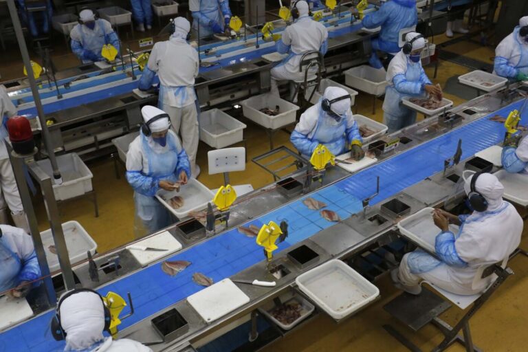 C.Vale amplia produção de tilápias e cresce quase 14% no abate em 2025 ...