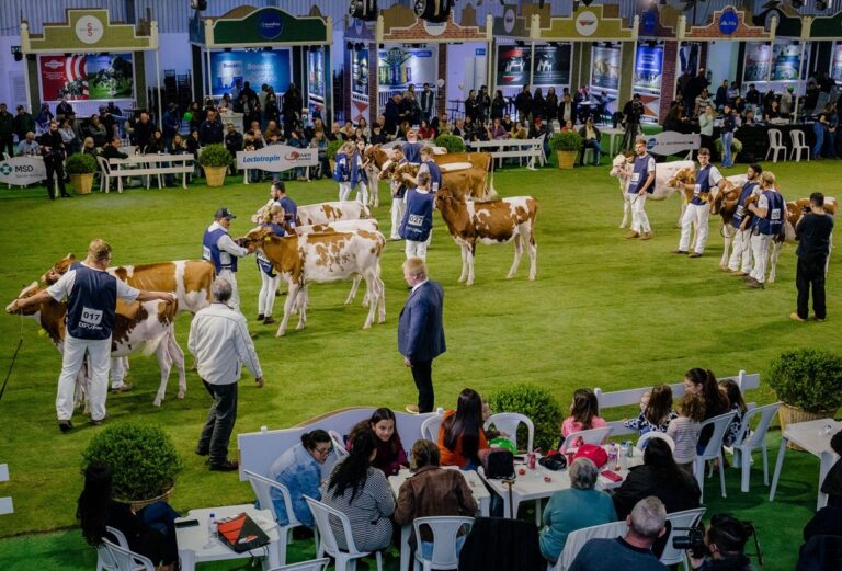 ExpoFrísia tem nova data a partir de 2026 – O Presente Rural